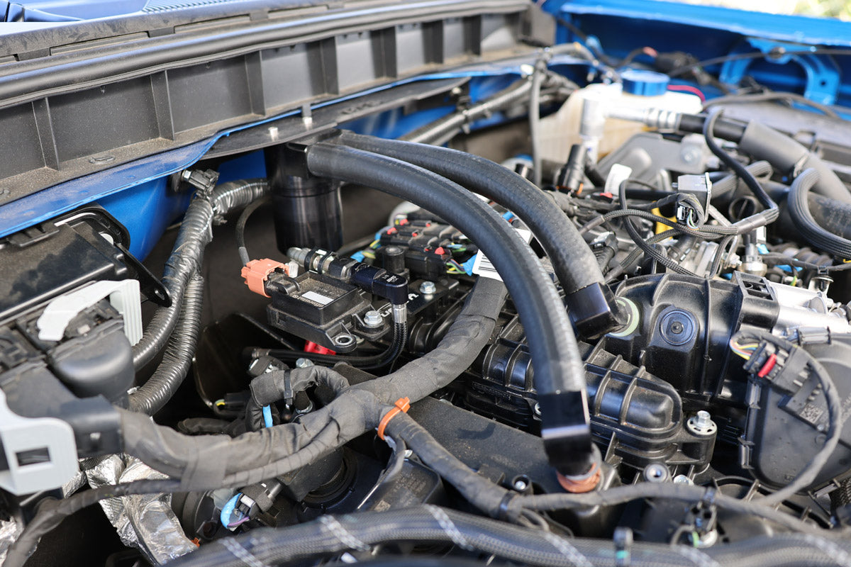 BMS Oil Catch Can System for 2021+ Ford Bronco 2.7L V6 (PCV Side)